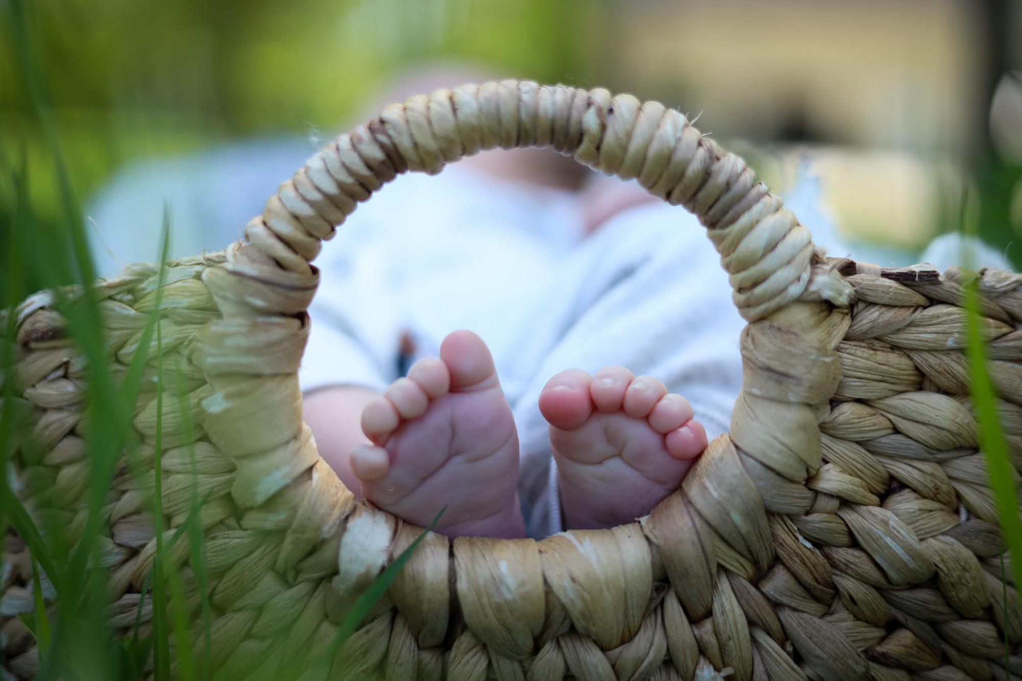 Contraception Against Life MODG News contraception-against-life-modg-news